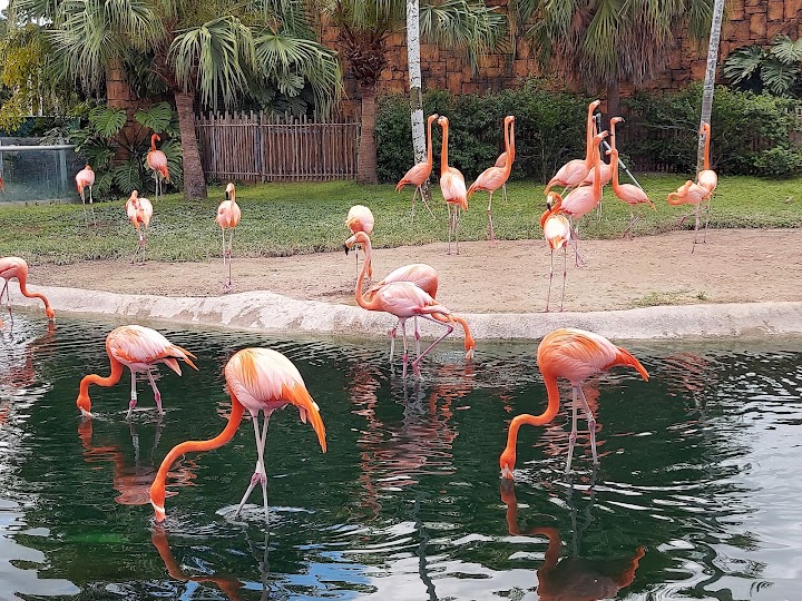Zoo Miami - Villa Paraiso Vacation Rentals